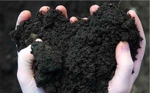 Bulk Compost Delivery | Mulch And Stone – Mulch, Topsoil, Gravel And ...